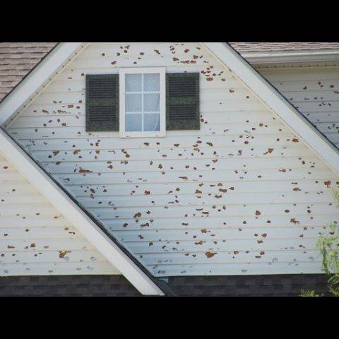 Public Claims Adjuster in Texas Oklahoma & Nevada- Palco Claims